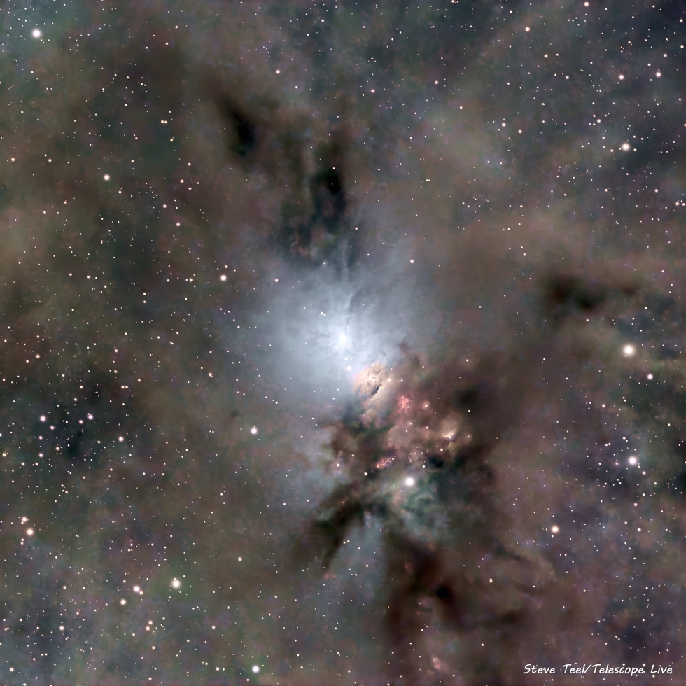 NGC1333 | Telescope Live